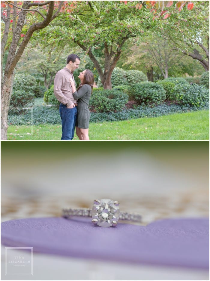 Megan & Brandon [York College York, PA Engagement Photographer] | Tina ...